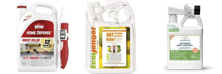Top 5 Pet-Friendly Outdoor Ant Solutions: Reviews & Guide