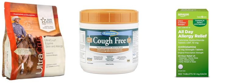 Top 5 Antihistamines For Horse Allergies: A Vet's Buying Guide