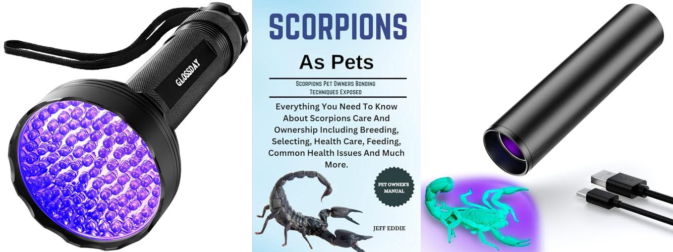 Top 5 Pet Scorpions: A Beginner's Guide to Scorpion Ownership