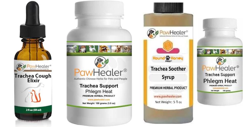 Top 5 Sleeping Positions for Dogs with Collapsed Trachea: A Guide