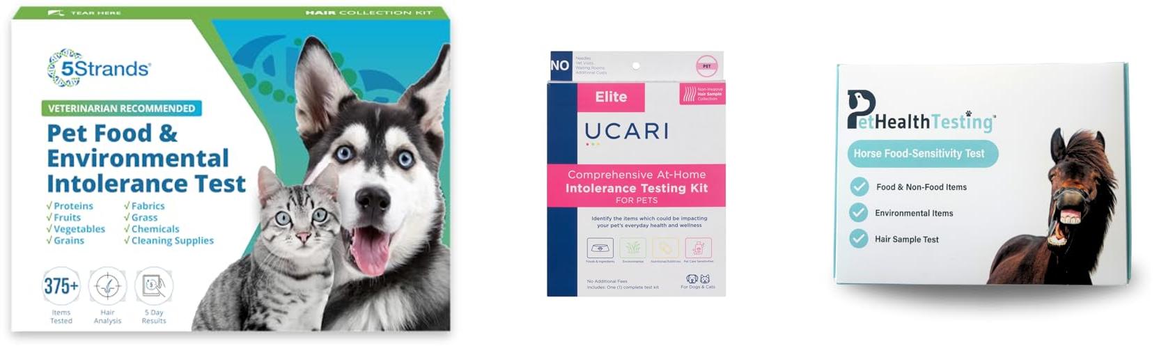 Top 5 Dog Allergy Tests: Reviews & Guide to Choosing the Best