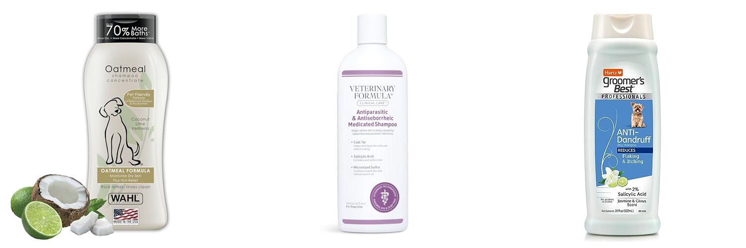 Top 5 Dog Dandruff Shampoos: Reviews & Buyer's Guide for Dogs