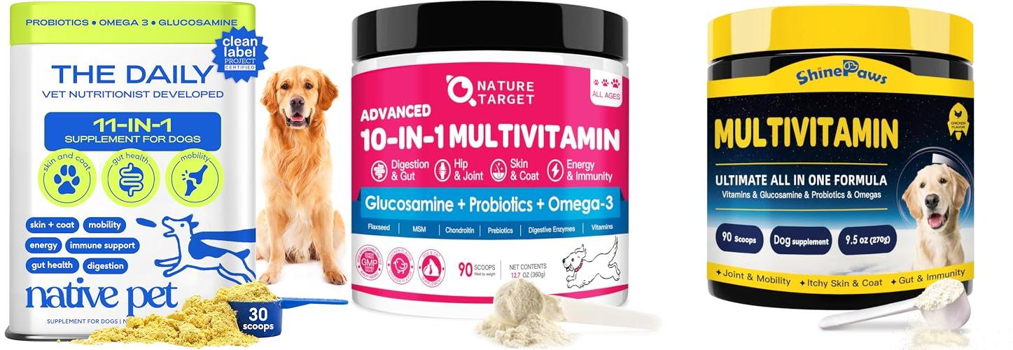 Top 5 Dog Multivitamin Powders: Reviews and Buyer's Guide