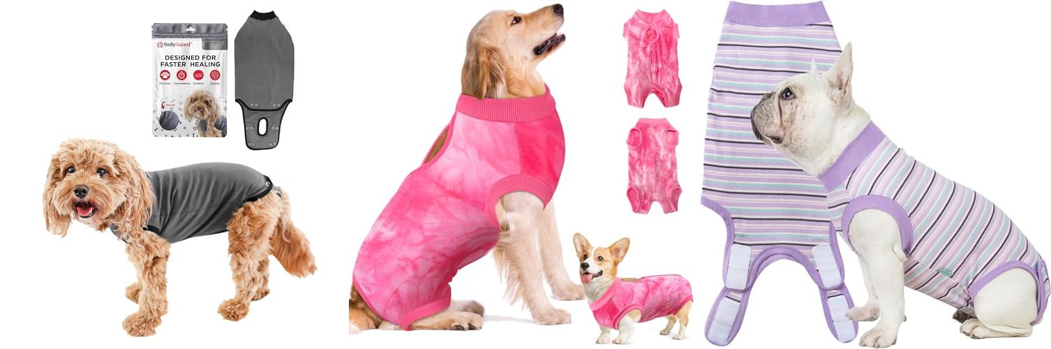 Top 5 Dog Recovery Suits After Spay: A Comprehensive Review