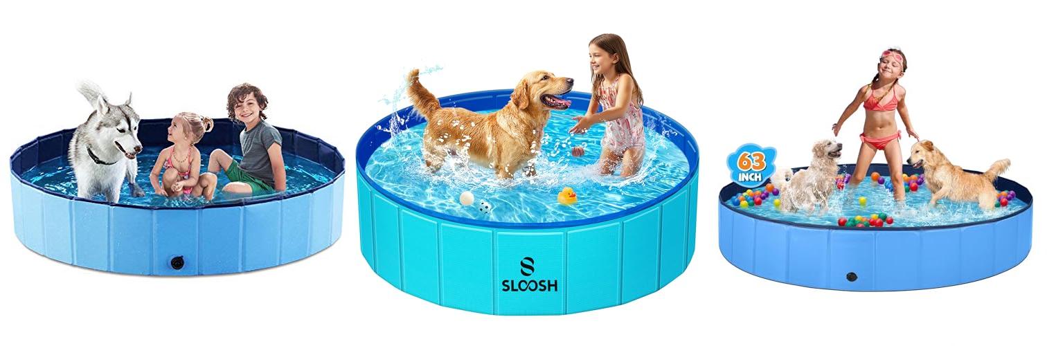 Top 5 Dog Swimming Pools: Reviews, Features, & Buying Advice