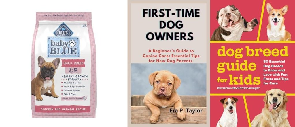 Top 5 First Dog Breeds: A Beginner's Guide & Breed Review