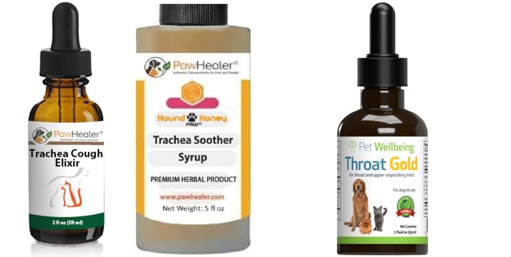 Top 5 Foods For Dogs With Collapsed Trachea: A Vet's Guide