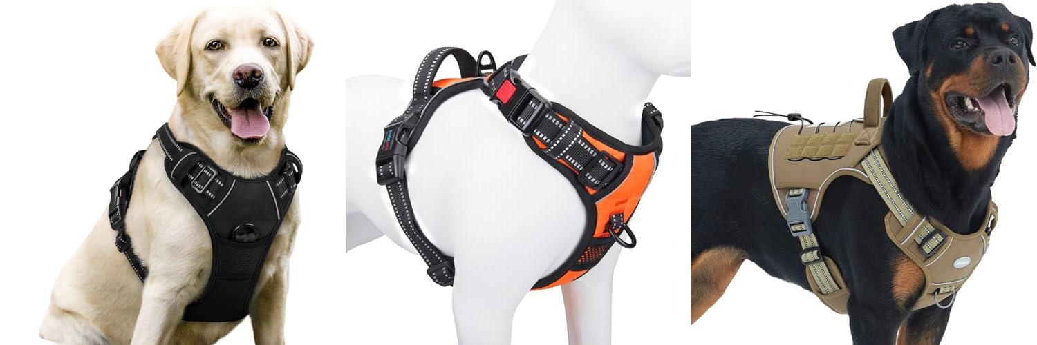 Top 5 Large Dog Harnesses: Reviews and Buying Guide for Big Pups