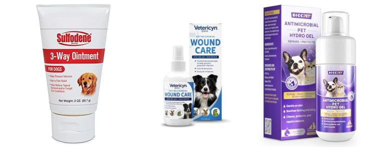Top 5 Best Ointments For Dog Wounds: A Vet-Approved Guide