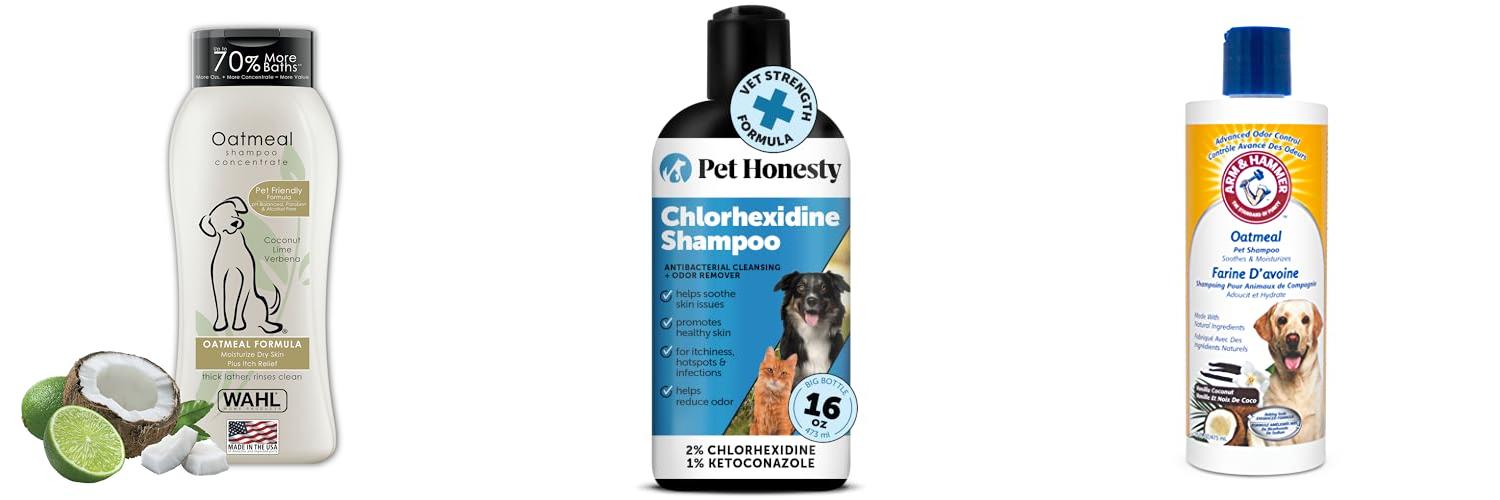 Top 5 Shampoos for Dogs with Dry Skin: A Vet-Reviewed Guide