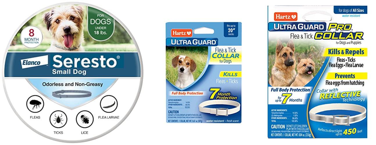 Top 5 Small Dog Flea Collars: Reviews & Buying Guide for Pups