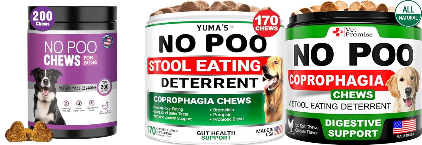 Top 5 Supplements to Stop Dogs Eating Poop: A Review Guide