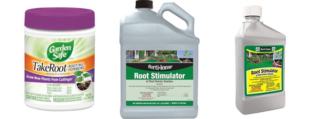Top 5 Plant Root Stimulators: Grow Strong Roots